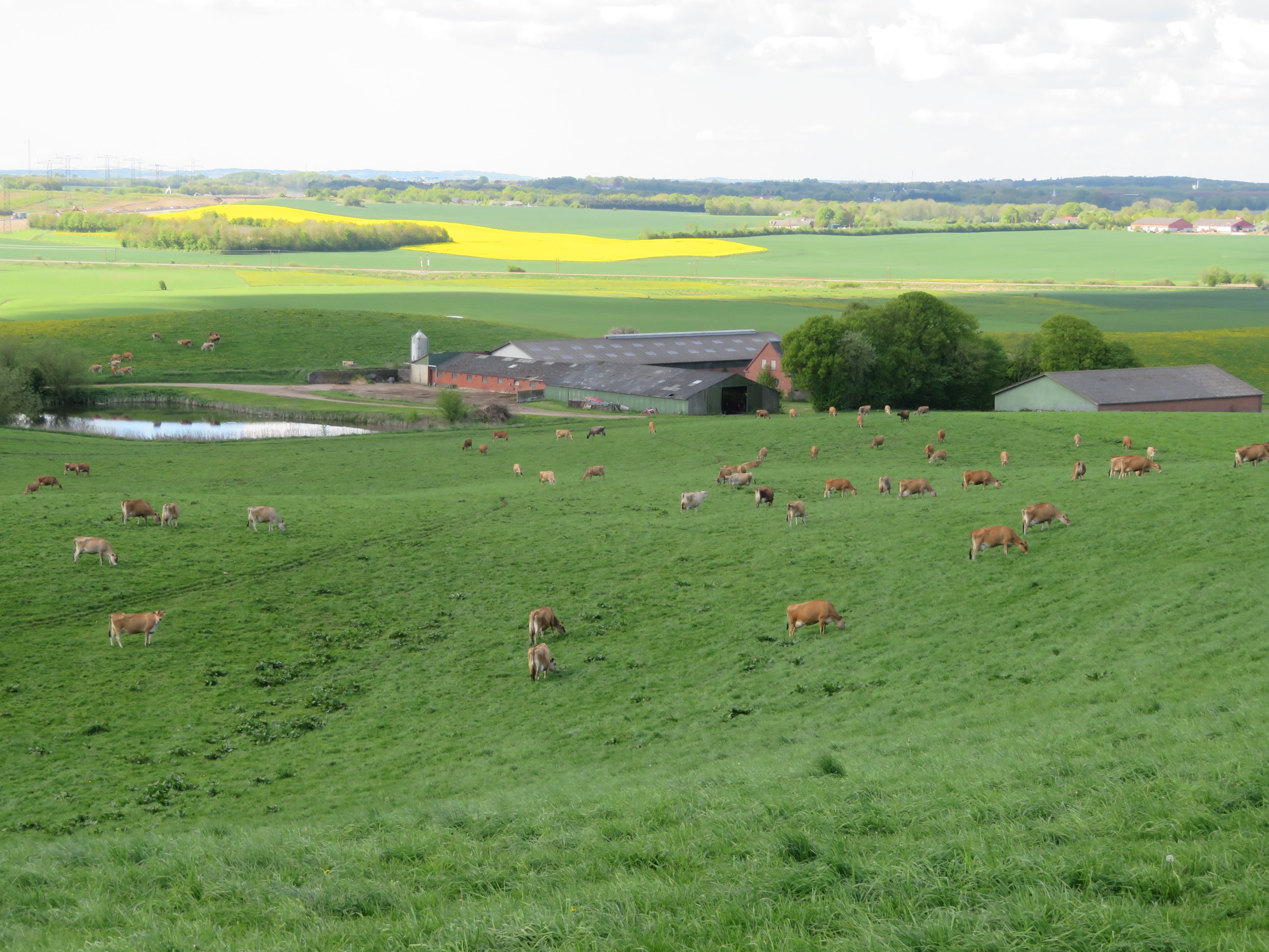 Til salg - Århusvej 70, Søften, 8382 Hinnerup - Nybolig Landbrug